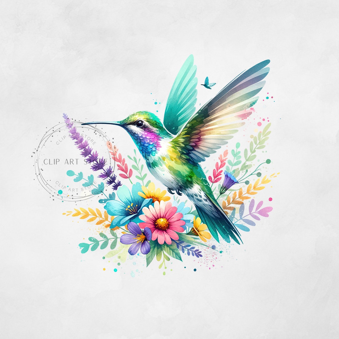 Imágenes prediseñadas de colibrí de acuarela, imágenes prediseñadas de ...