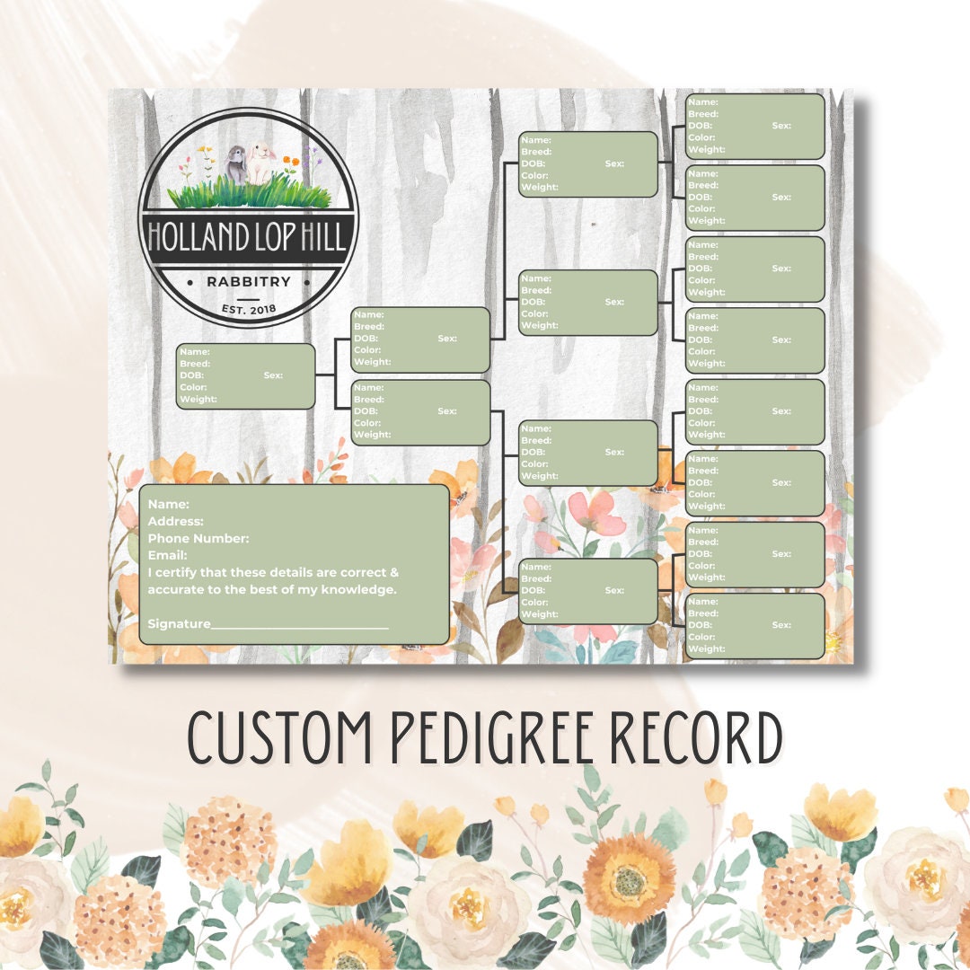 Custom Pedigree | Rabbitry Pedigree | Bunny | ARBA Show Breeder ...