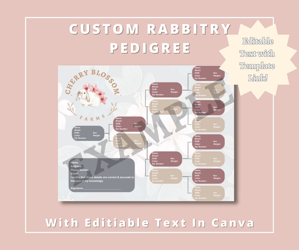 Custom Rabbitry Kit | Custom Rabbitry Logo | Editable Rabbit Pedigree ...