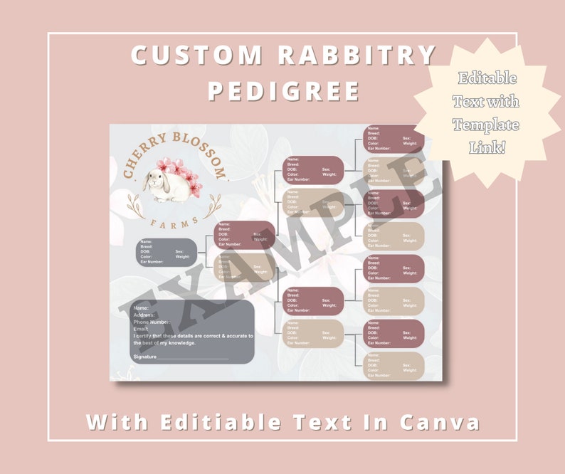 Custom Rabbitry Kit | Custom Rabbitry Logo | Editable Rabbit Pedigree ...