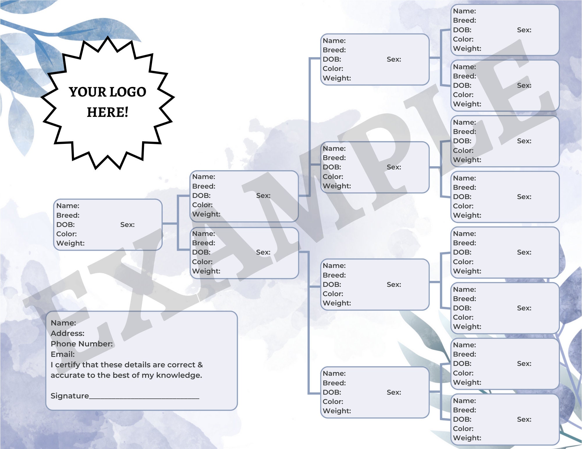 Editable Pedigree | Editable Text in Canva | Rabbitry Pedigree - Etsy