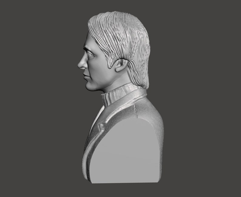 3D Model of Carl Sagan High-quality STL File for 3D Printing - Etsy