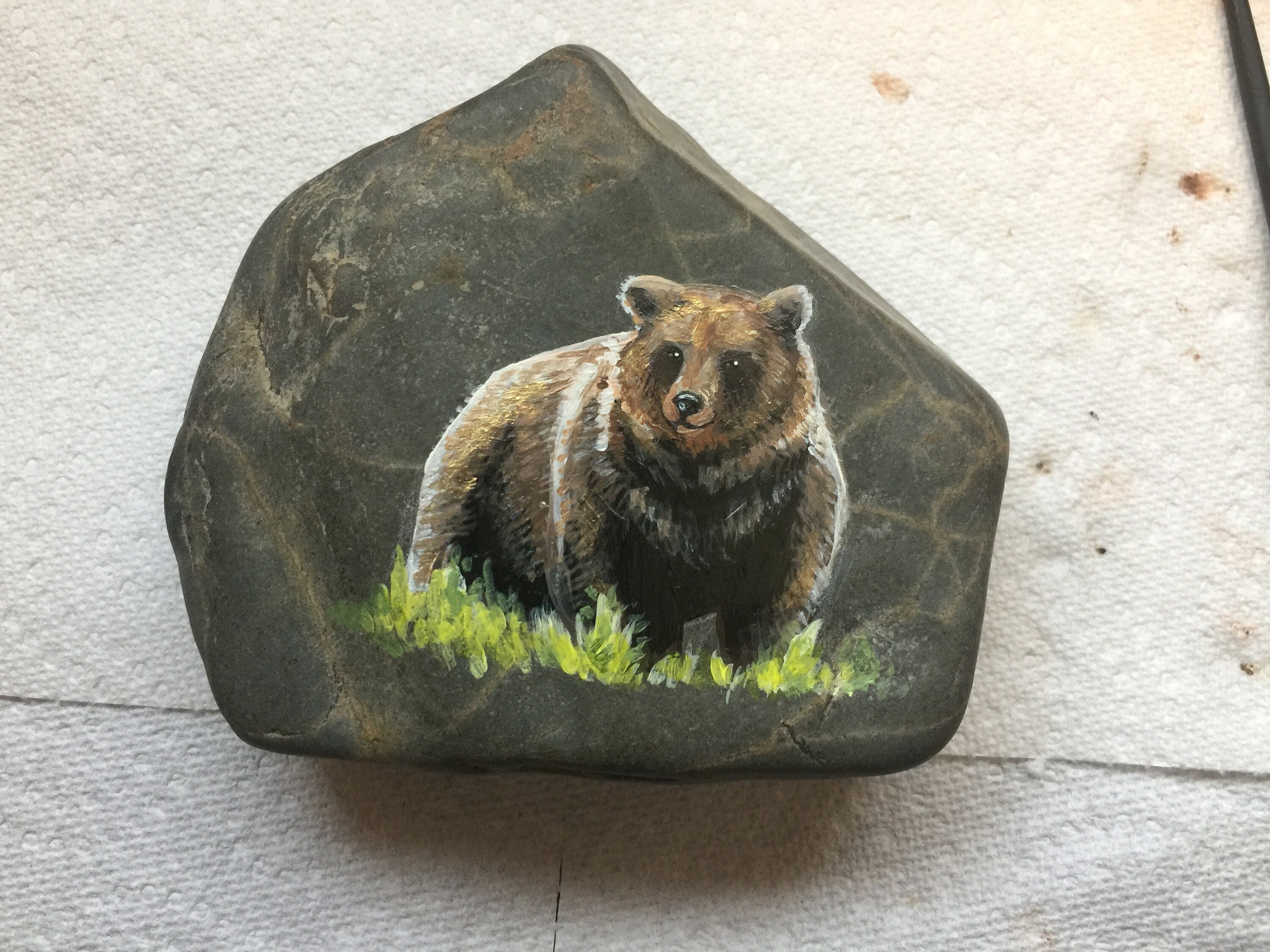 Custom Hand Painted Rocks, Pet Portrait Memorials, Personalized Garden ...