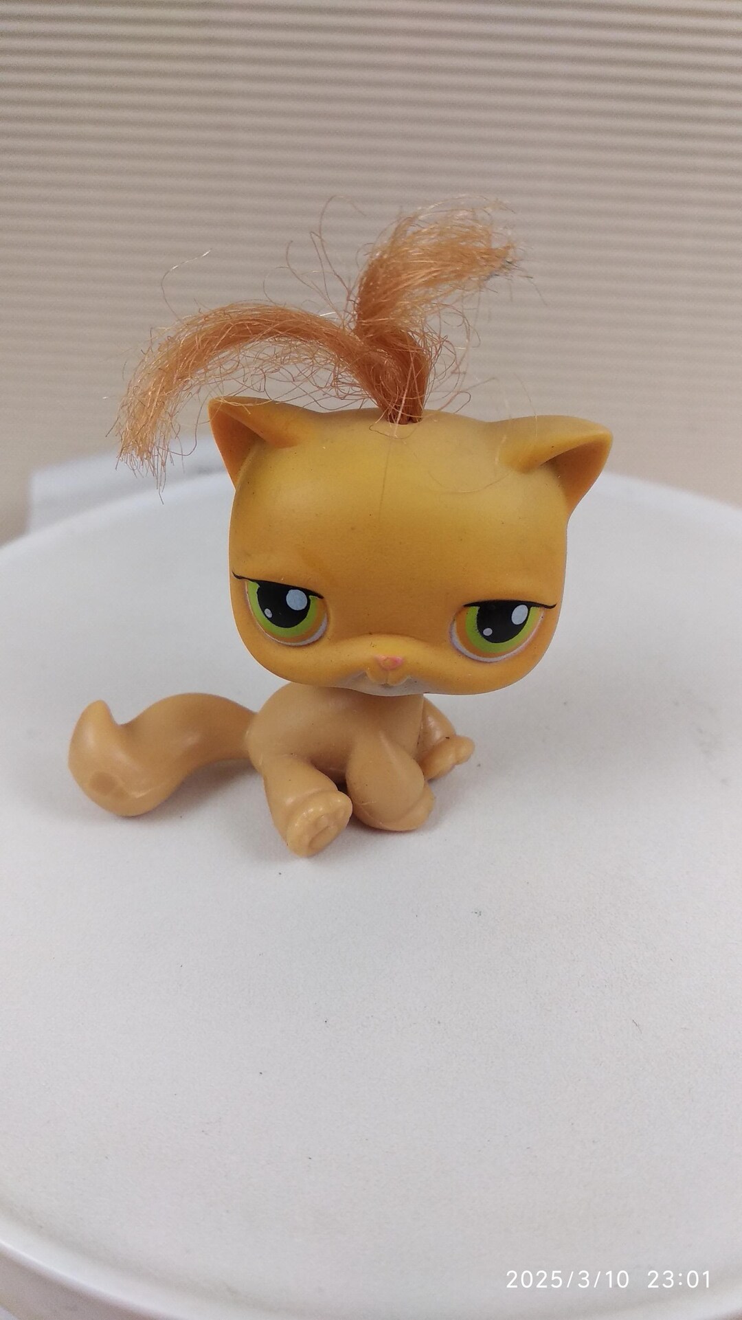 CAT #78 - Authentic Littlest Pet Shop - Hasbro LPS - Etsy