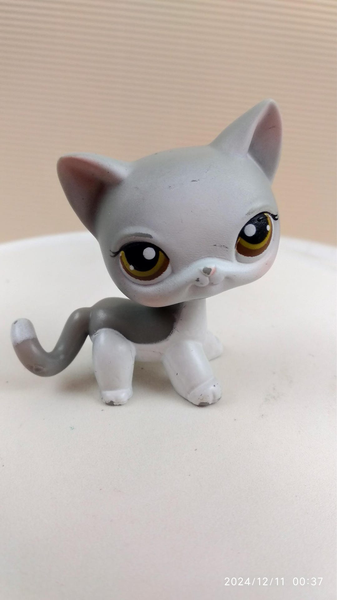 Littlest Pet Shop Shorthair Cat #138 AUTHENTIC LPS - Etsy