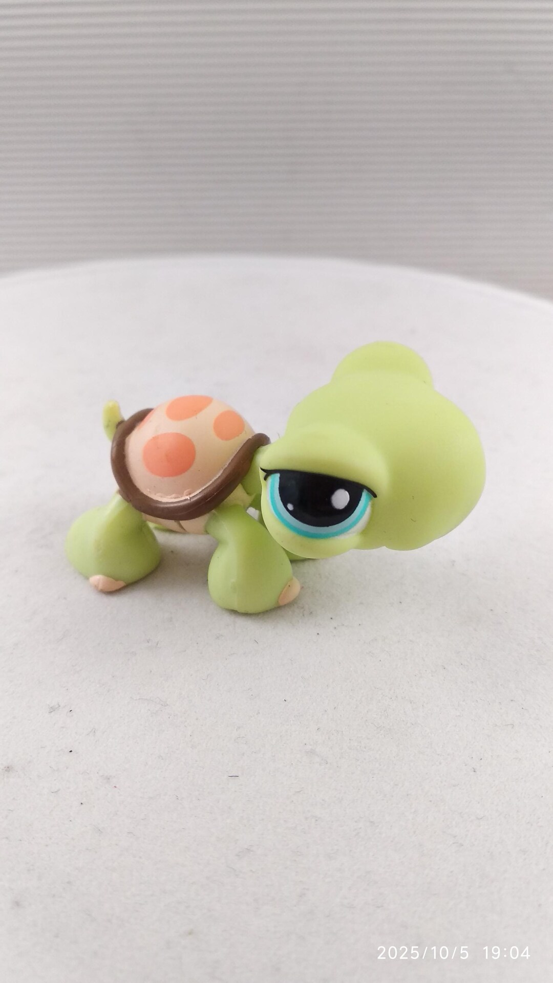 Littlest Pet Shop Turtle #984 - Etsy