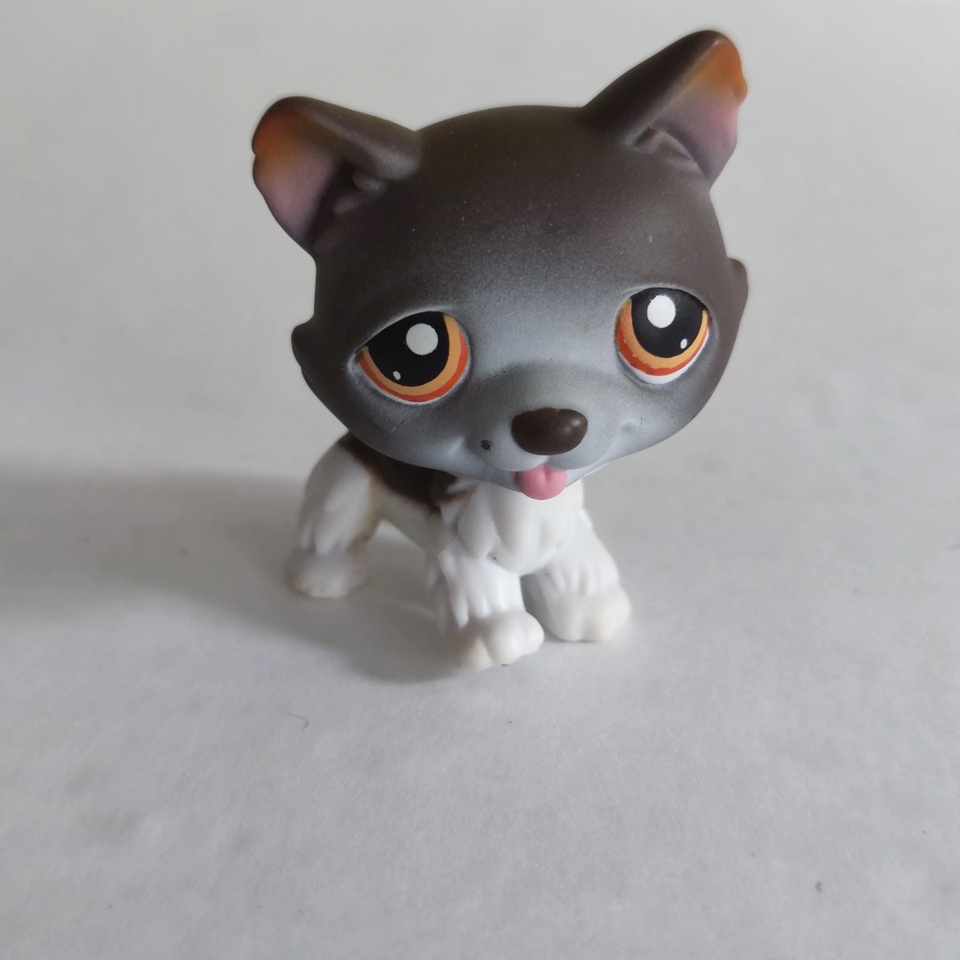 Littlest Pet Shop Authentic LPS #174 Brown/white Husky RARE - Etsy