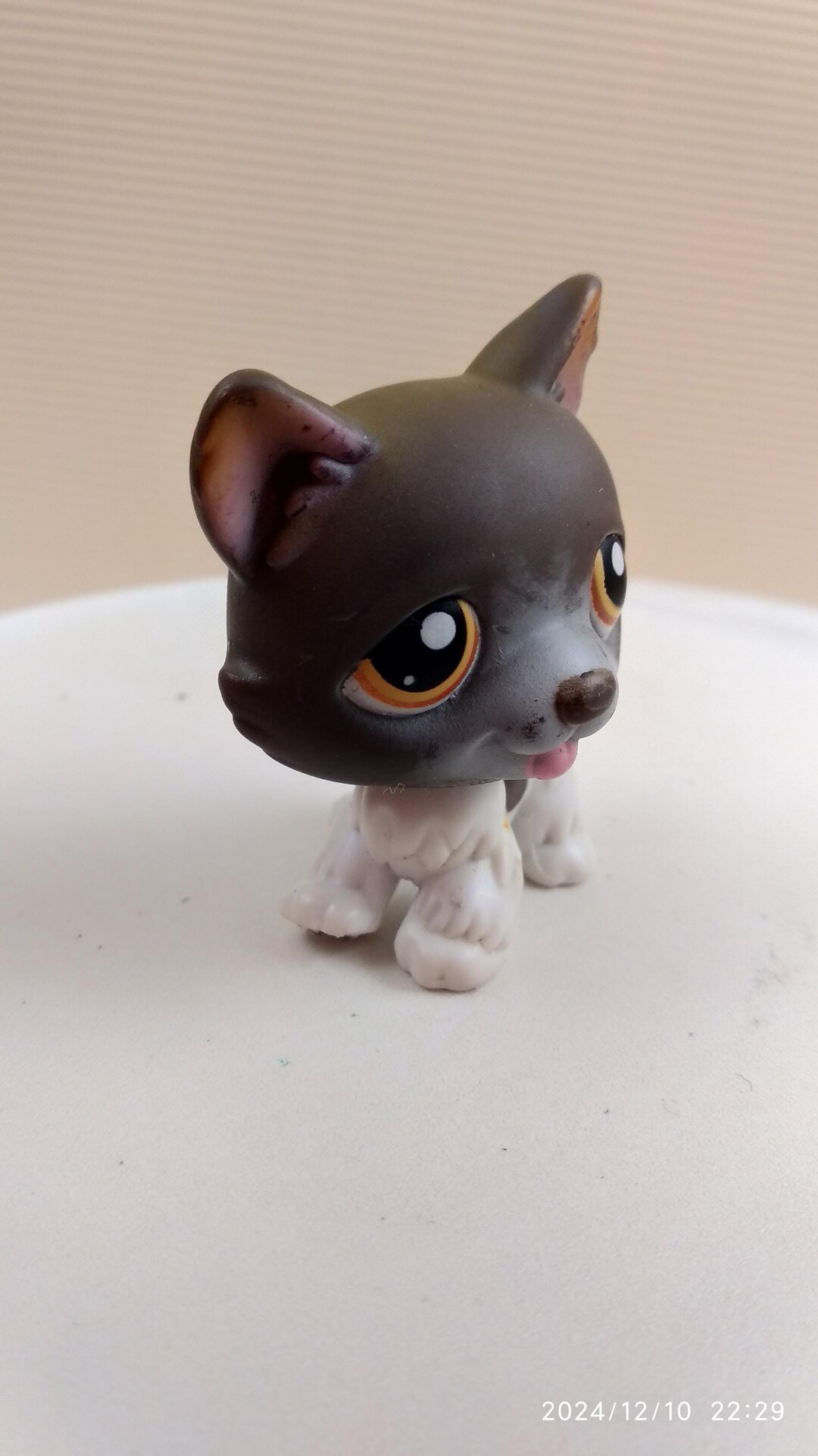 Littlest Pet Shop Authentic LPS 174 Brown/white Husky RARE - Etsy