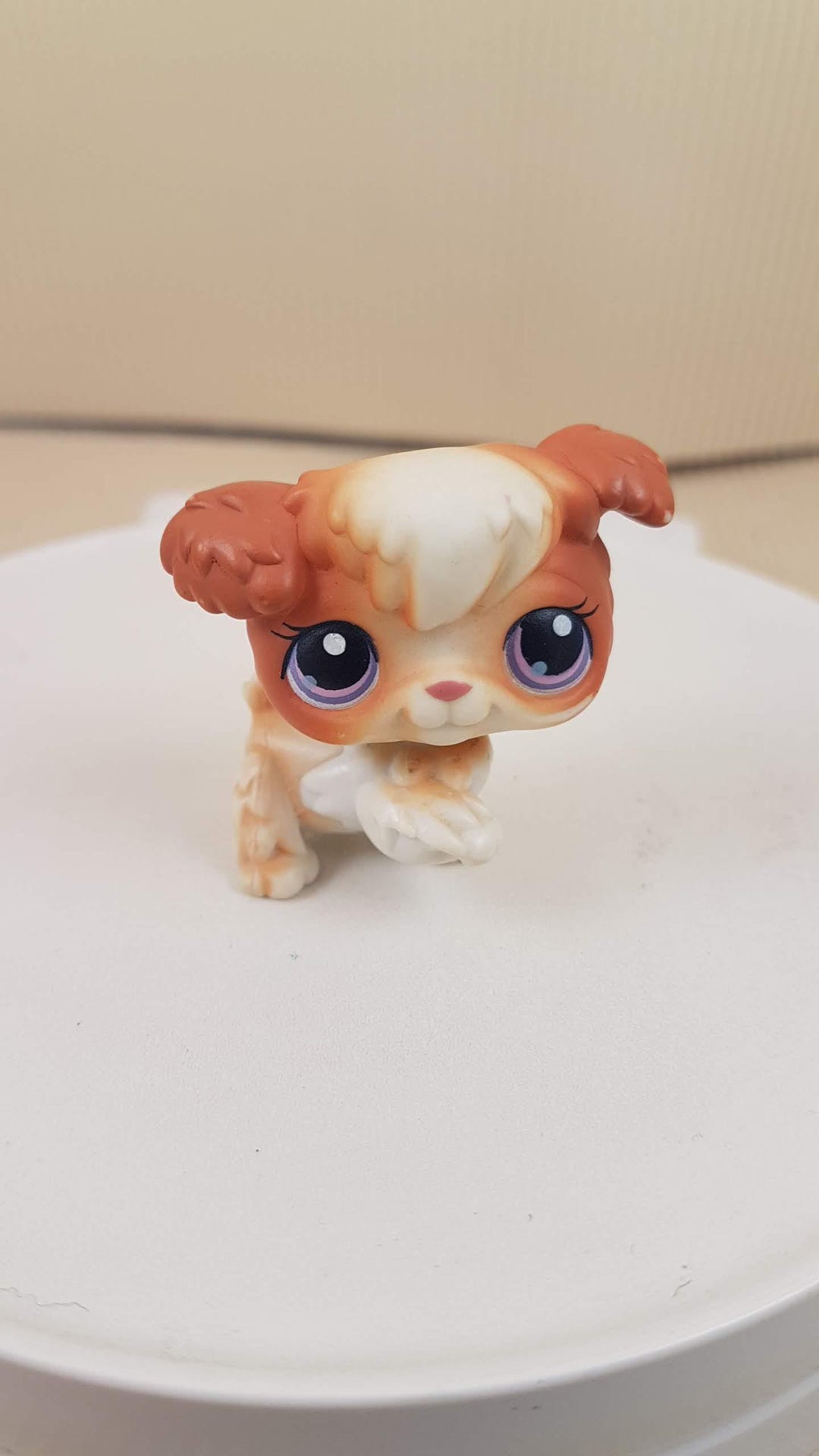 LPS Sweet Poodle #37 Authentic Littlest Pet Shop Hasbro Collector Toys ...