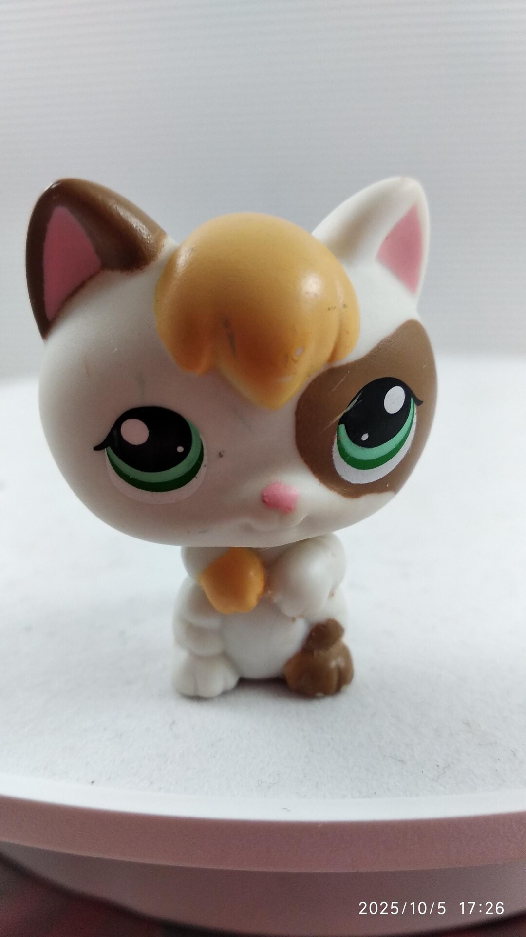 Littlest Pet Shop Authentic # 1462 White Orange Brown Calico Kitten ...
