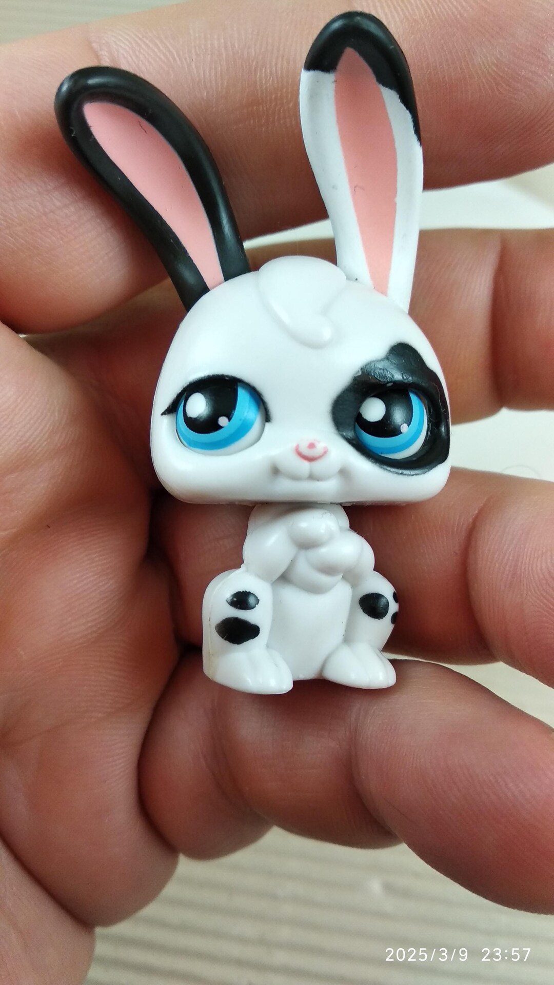 LPS Magic Motion Bunny Rabbit #PP4 Black White Blue Eyes Littlest Pet ...