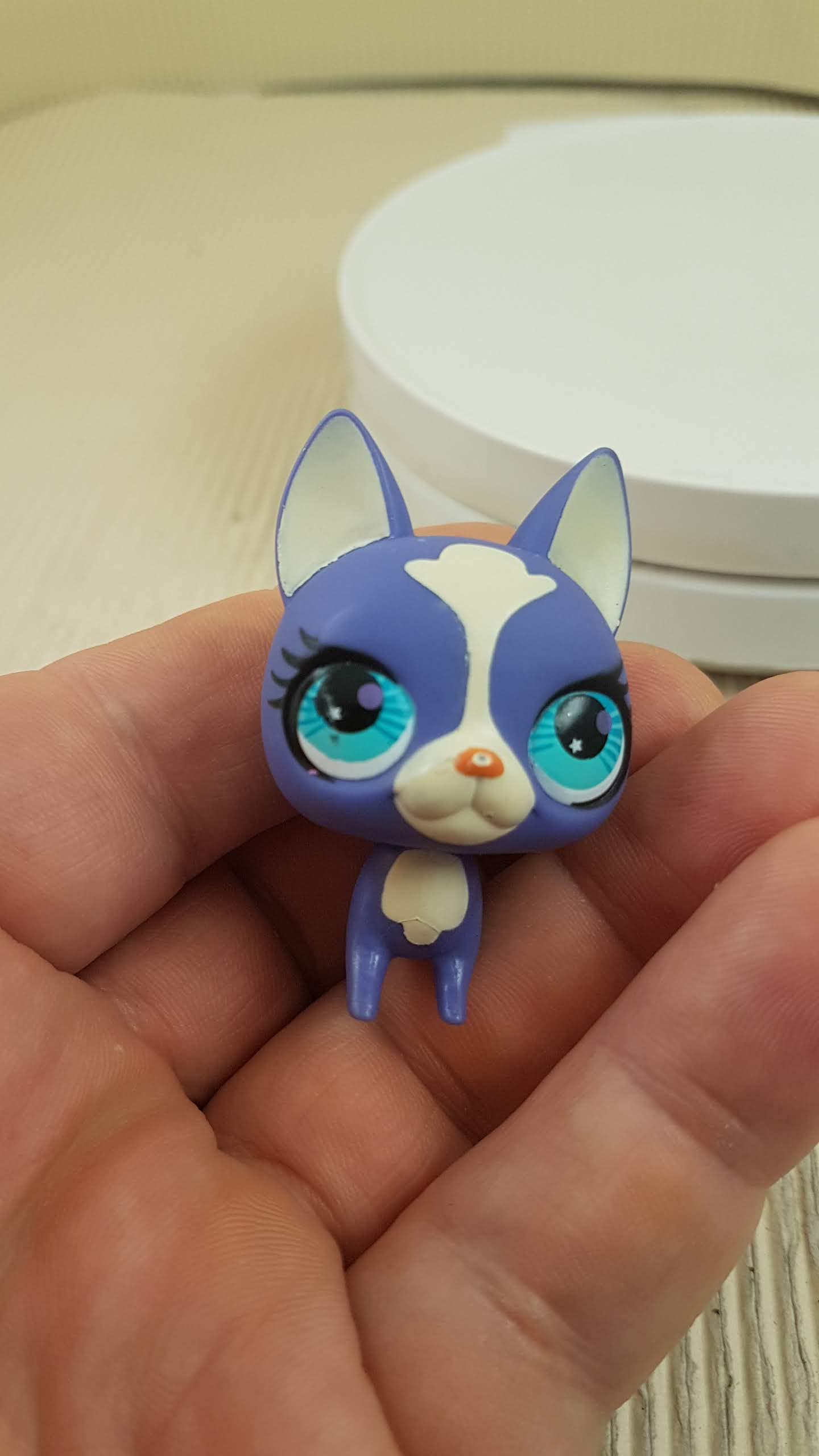 Littlest Pet Shop LPS Authentic 2750 Boston Terrier Dog generation 4 Etsy UK