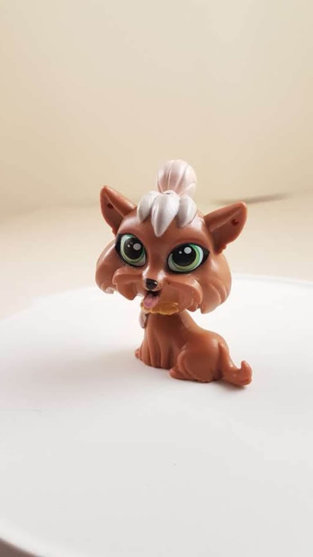 Littlest Pet Shop LPS 3802 Yorkie With Green Eyes Terri Bowman Preowned ...