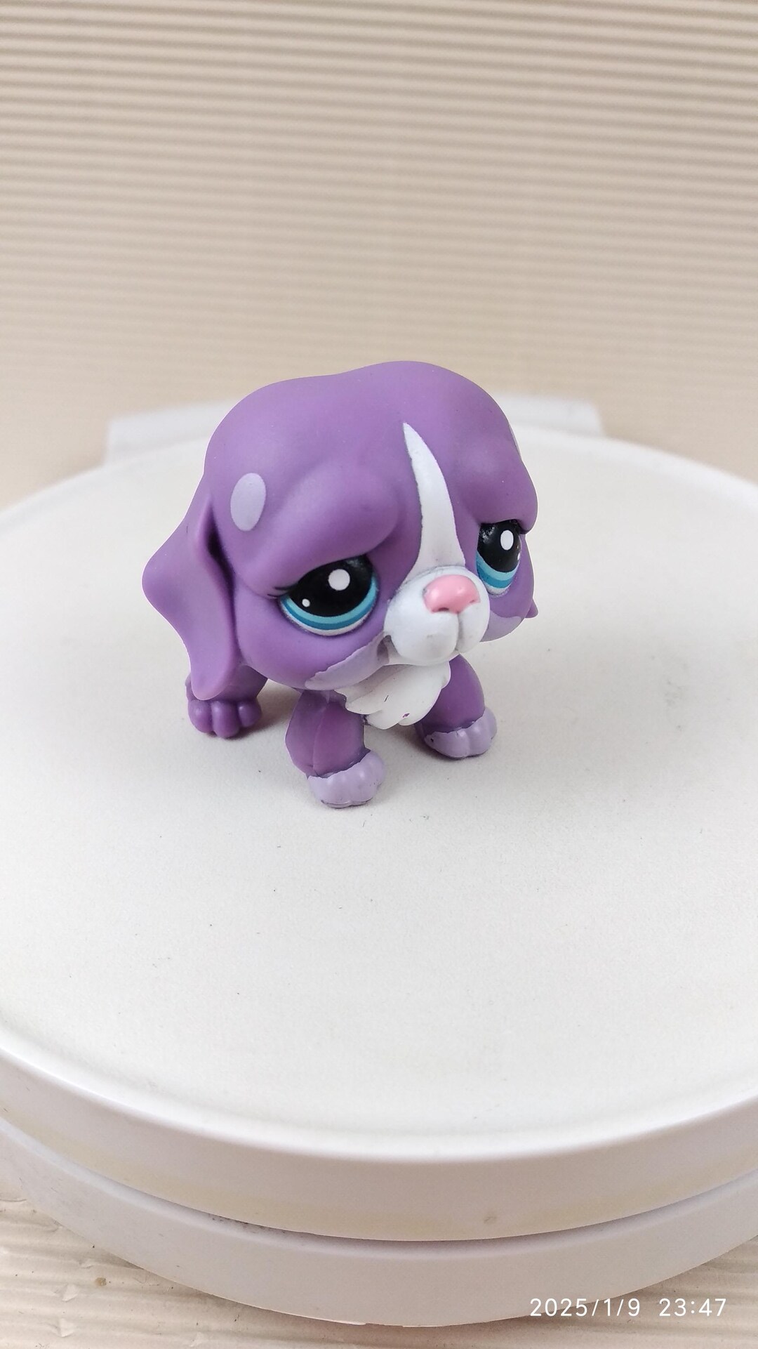 Littlest Pet Shop LPS EURO St. Bernard #2405 / Authentic Vintage by ...