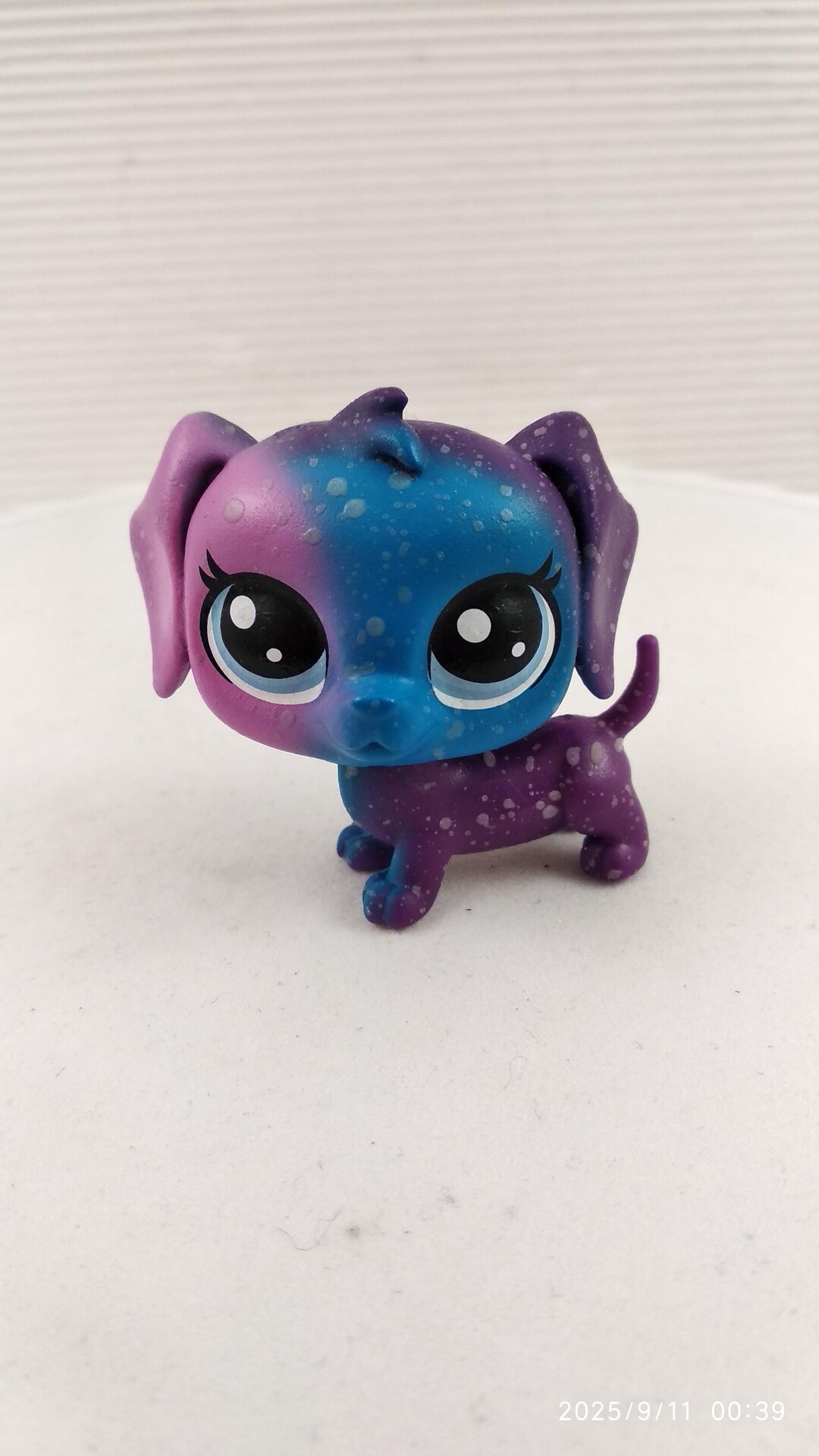 Littlest Pet Shop COSMIC Dachshund Dog Planemo #3-31 LPS - Etsy