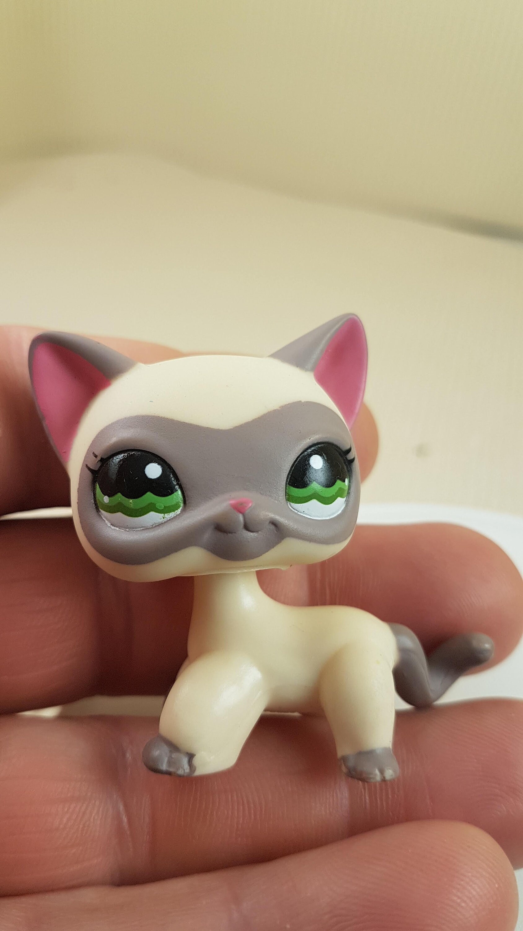 Littlest Pet Shop 1116 Cream Siamese Masked Shorthair Cat LPS Authentic ...