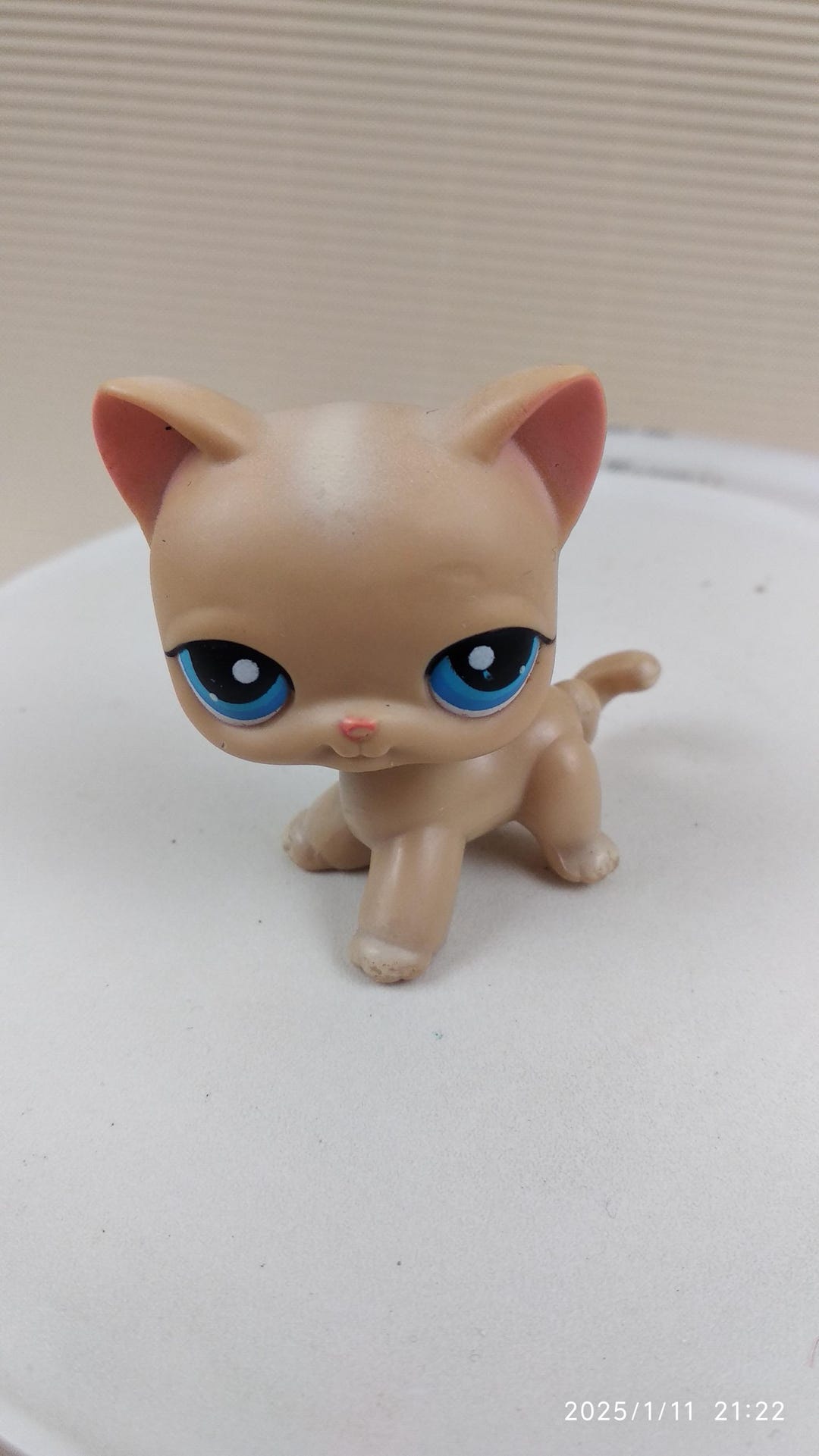 Authentic Littlest Pet Shop LPS #228 Cream Siamese Shorthair Cat Blue ...