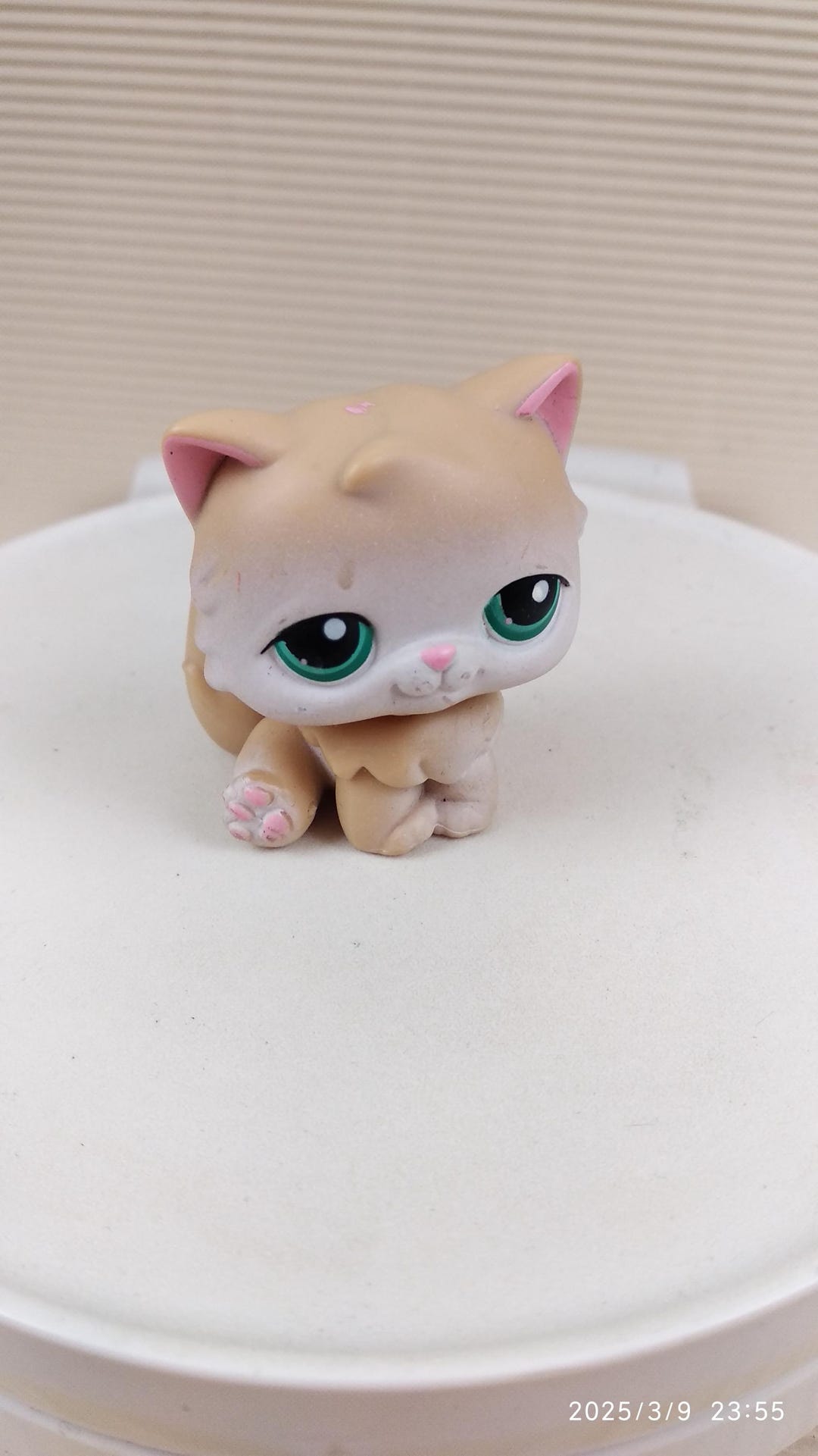 PERSIAN CAT #129 - Authentic Littlest Pet Shop - Hasbro LPS - Etsy