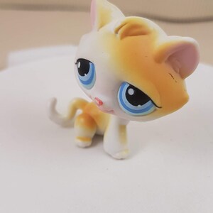 Littlest Pet Shop Yellow Cat 1035 Blue Dot Eyes Kitty Kitten LPS Paw Up ...