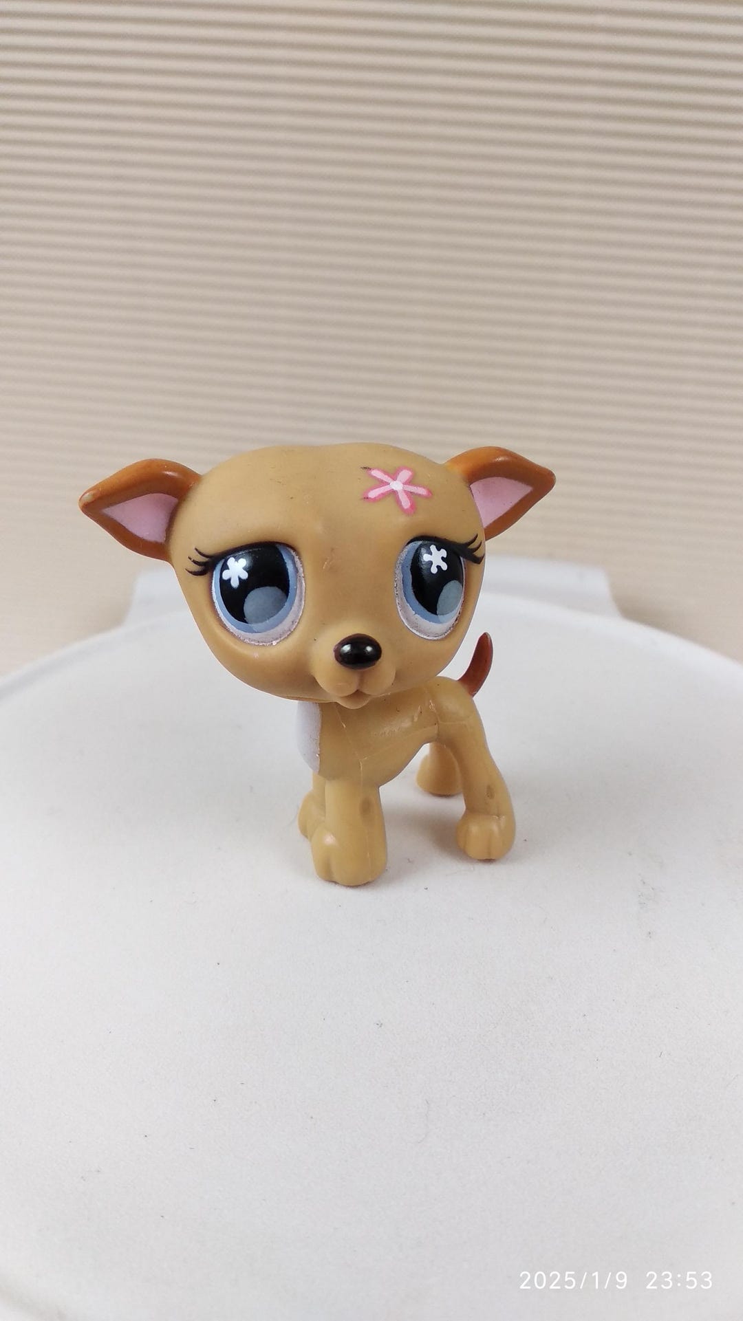 Littlest Pet Shop LPS #498 Greyhound Dog Purple Flower Eyes - Etsy
