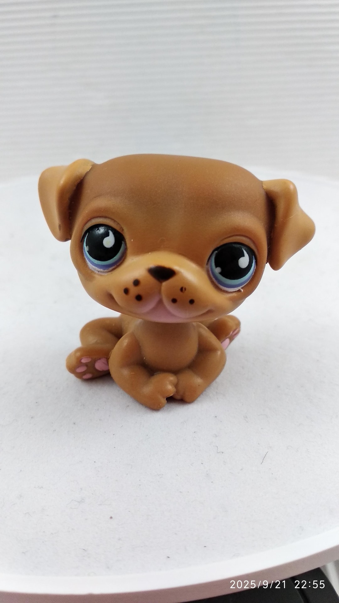 Littlest Pet Shop LPS Authentic #901 Brown Tan Pug Puppy Dog Teardrop ...