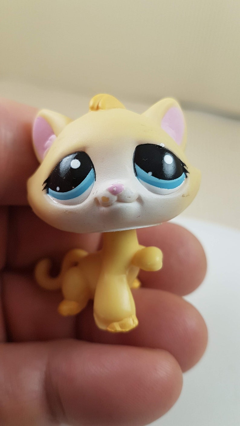Littlest Pet Shop Yellow Cat 1035 Blue Dot Eyes Kitty Kitten - Etsy