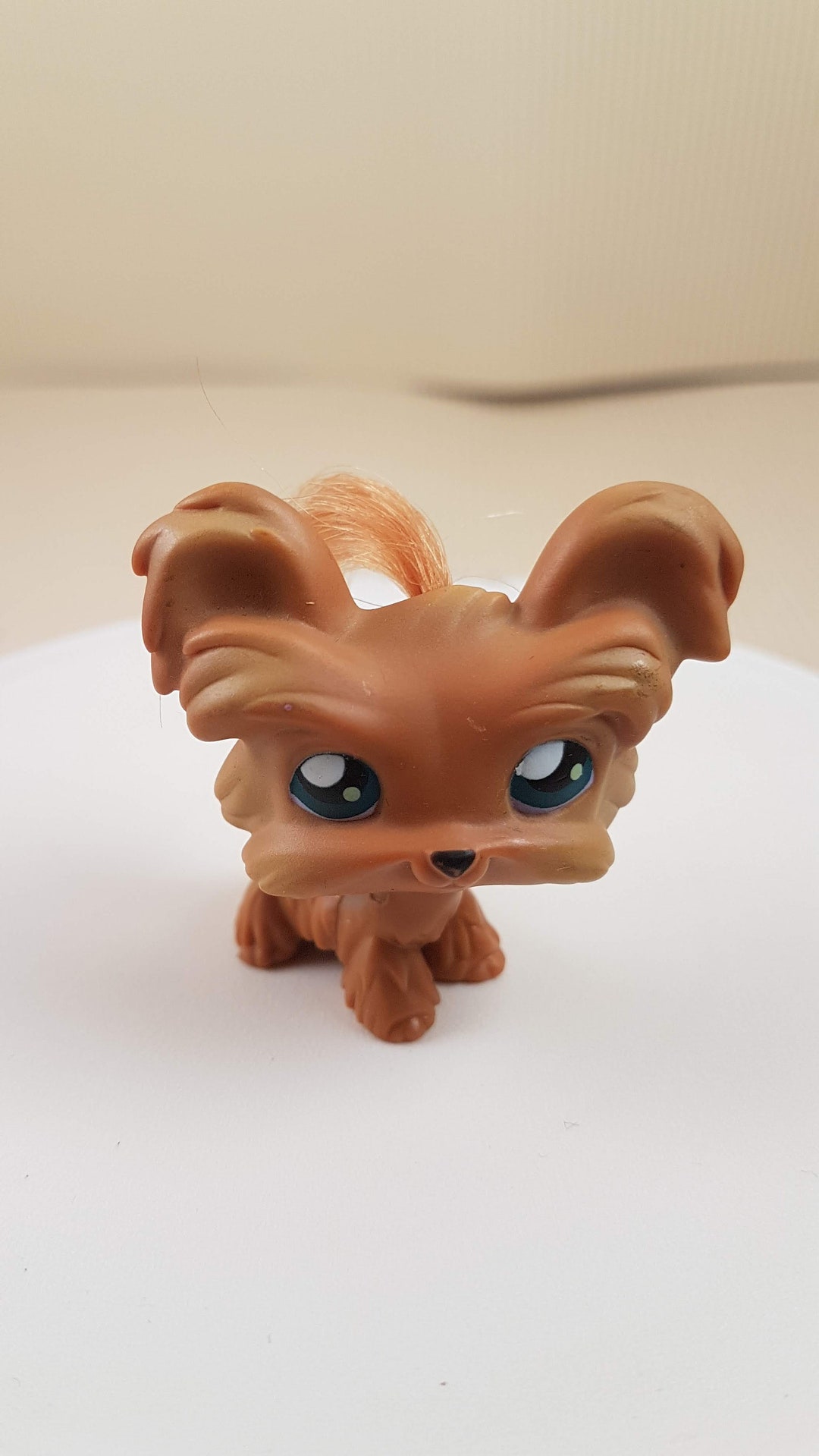 Shih Tzu Yorkie Littlest Pet Shop: Tan, Gray, Copper Brown LPS ...