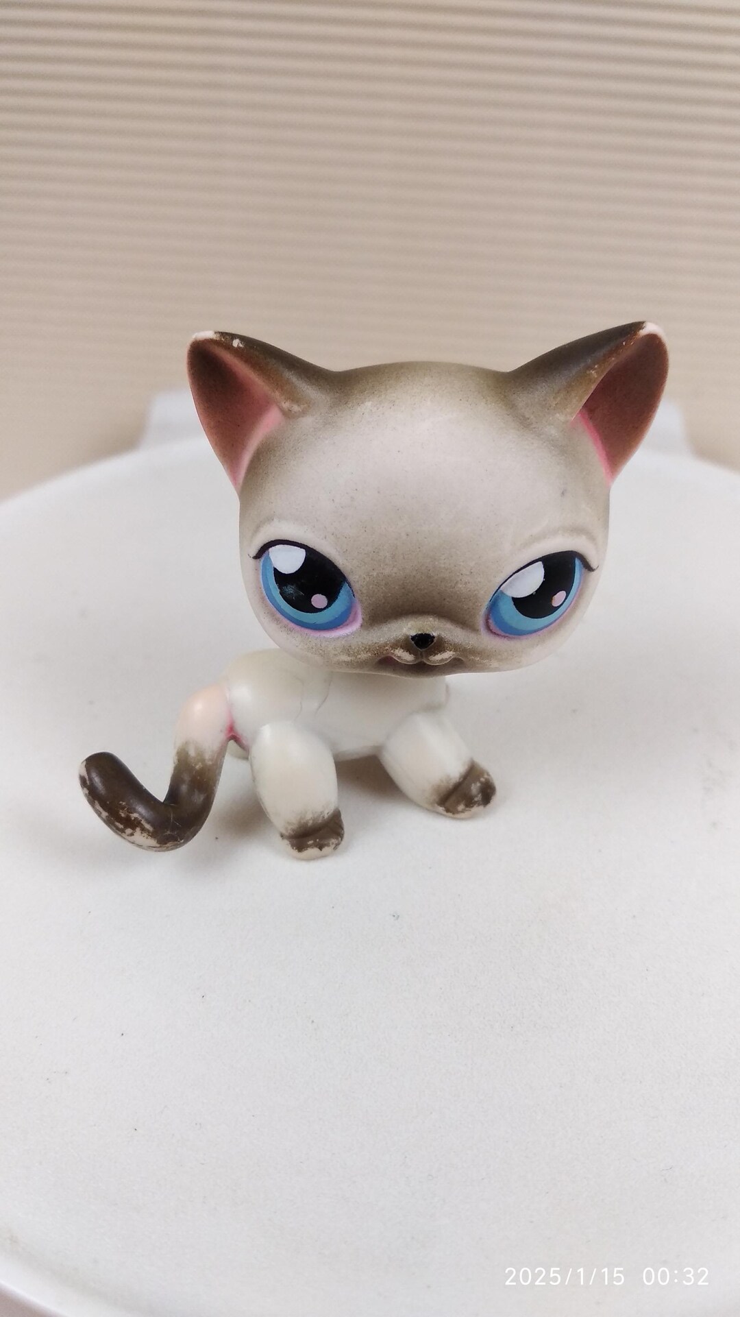 Littlest Pet Shop LPS*SIAMESE Cat*#5*kitten*shorthair*gray Authentic - Etsy