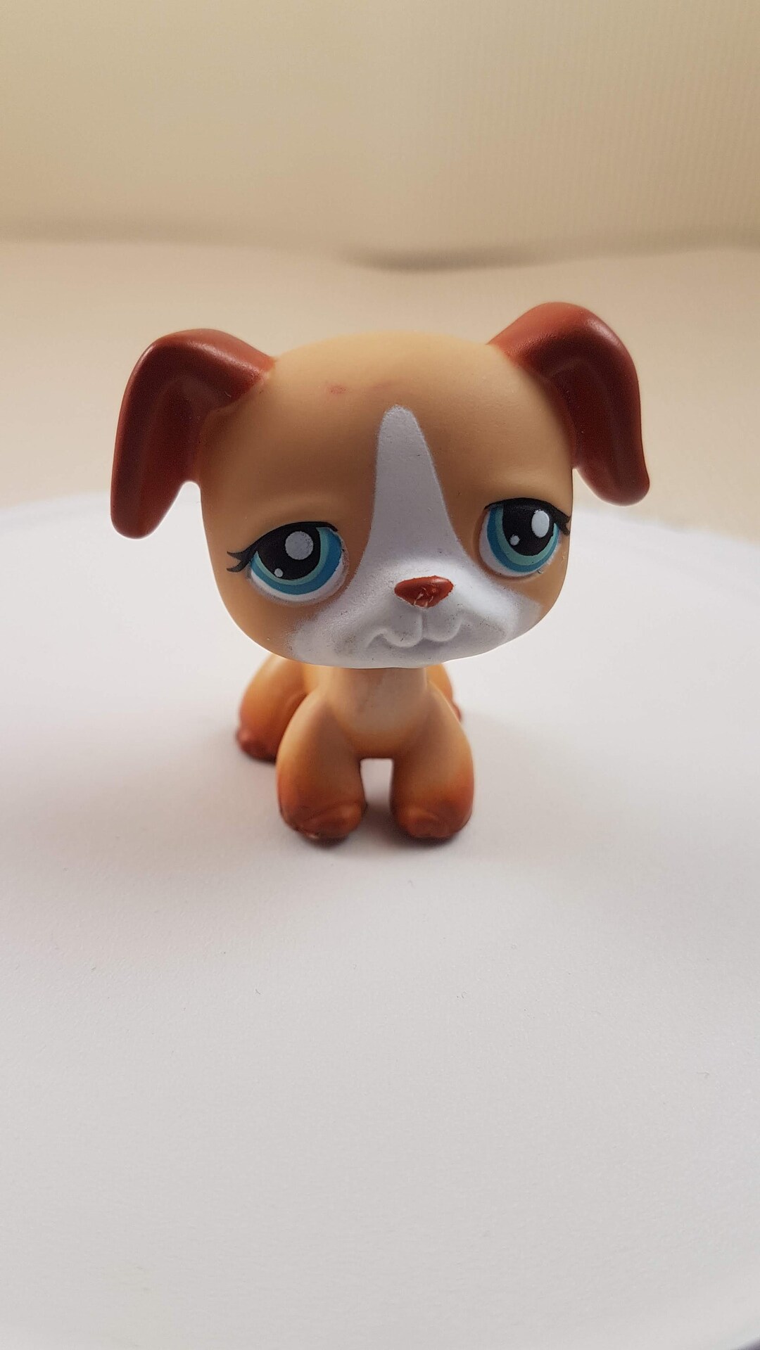 Littlest Pet Shop Boxer Dog 218 Authentic LPS Blue Eyes - Etsy