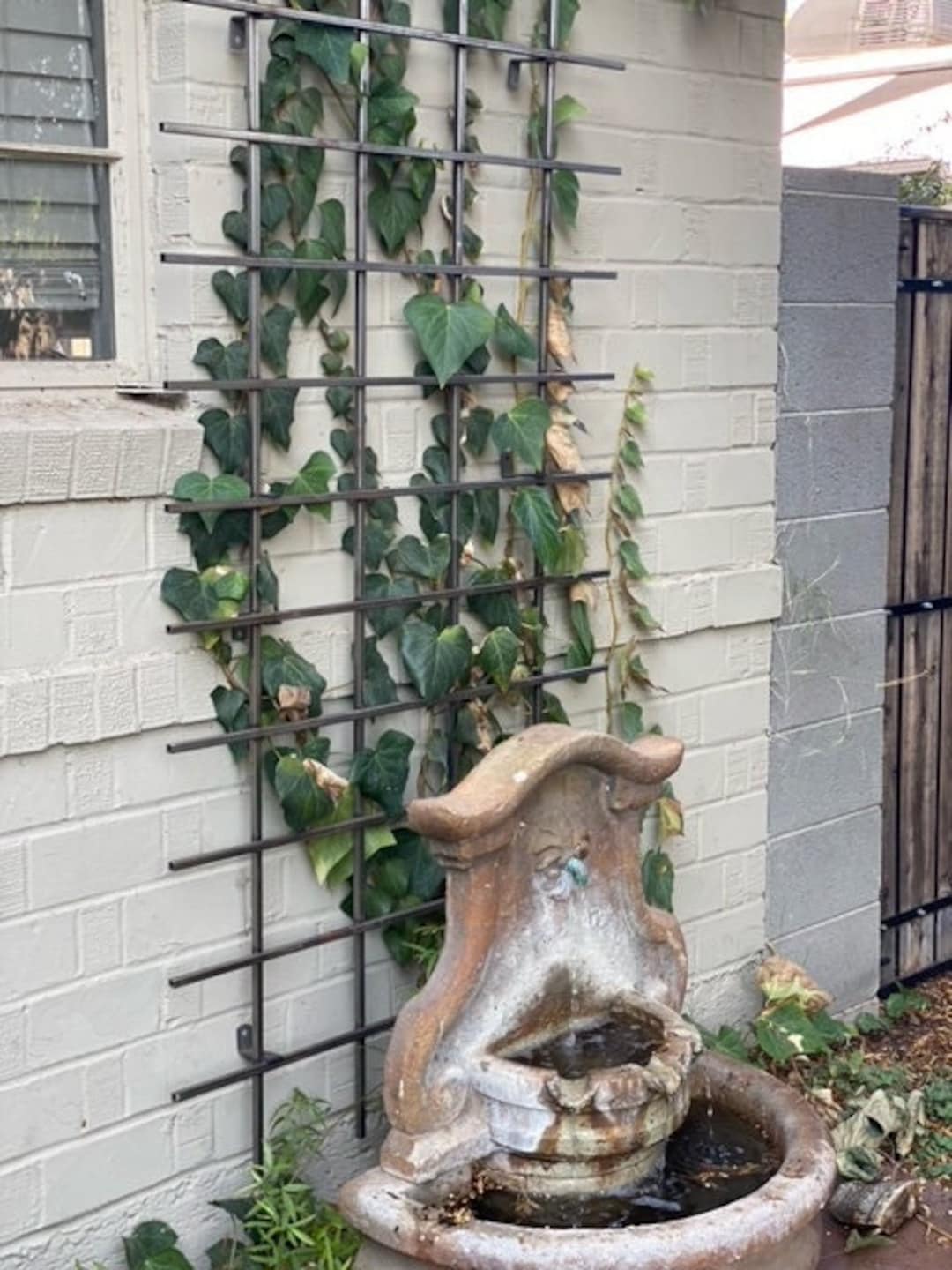 NEW PRODUCT: Custom-fit Trellises for the Modern Gardener! - Etsy