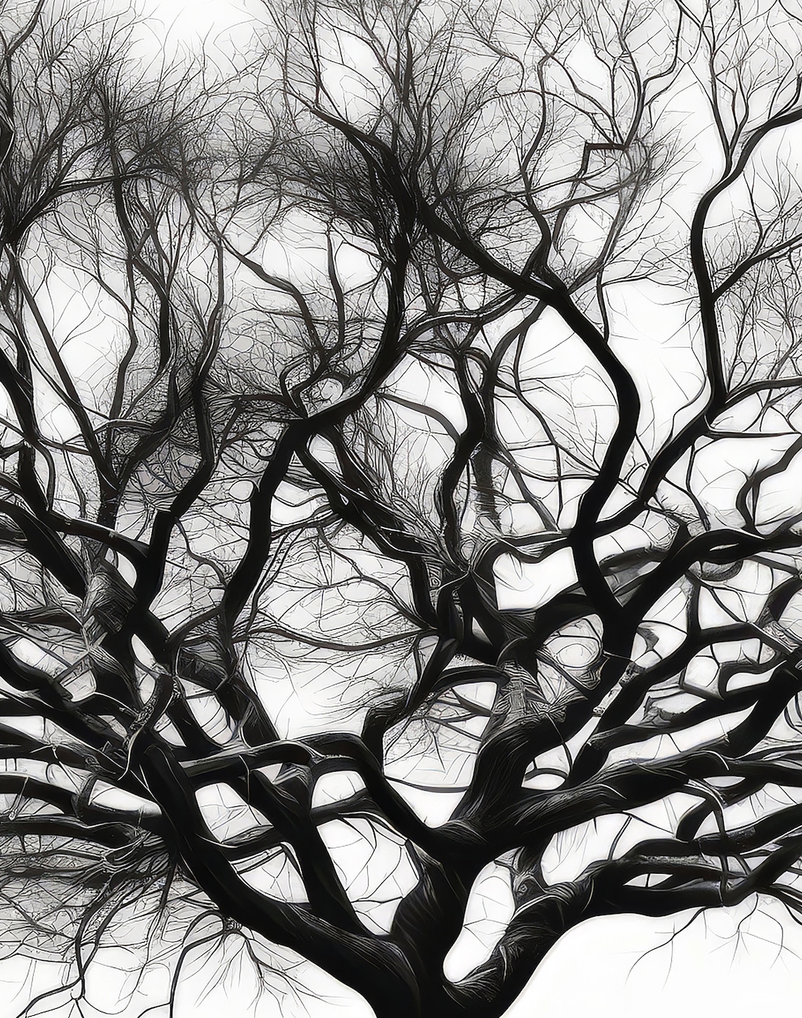 Family Tree Illustrated Tree Wall Art Black and White Illustrated Print ...