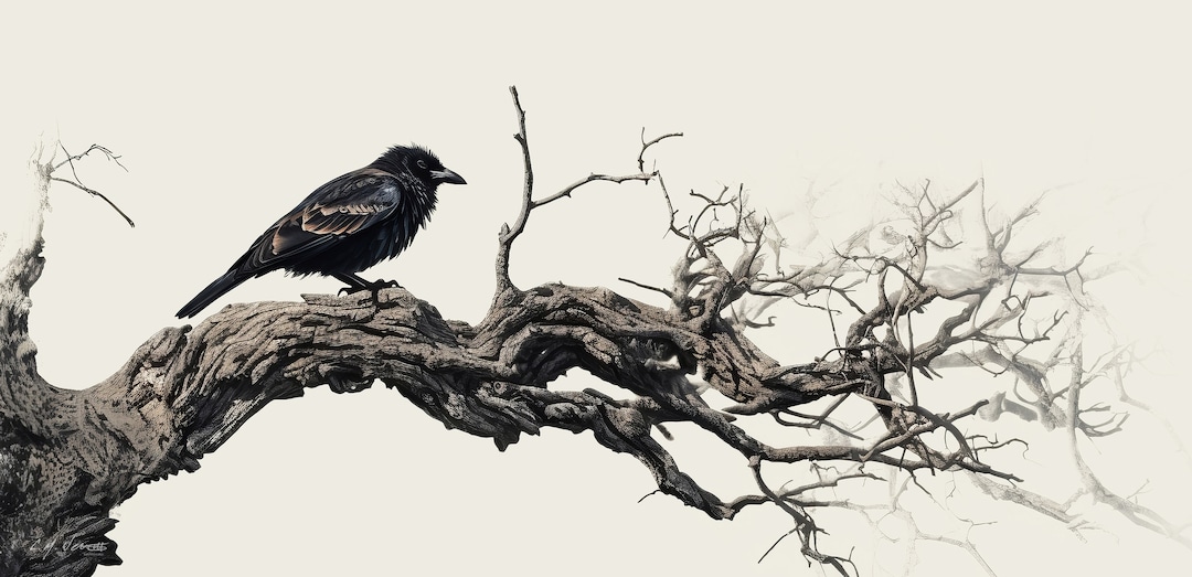 Old Crow Minimalistic Artist Designed Custom Crafted Crow Pro-printed ...