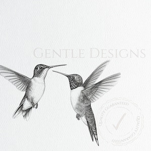 Mailed Prints | Vintage Art Print, Two Hummingbirds Sketch Print ...
