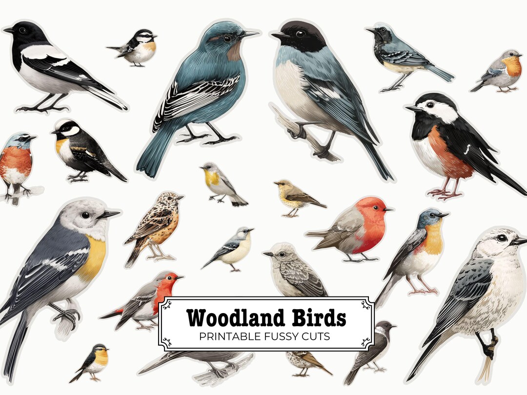 Woodland Birds Fussy Cuts | Printable Bird Cutouts for Journals ...