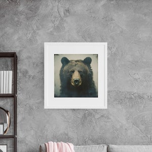 Bear Polaroid Portrait, Old Fashion Photography, Vintage, Retro Style ...