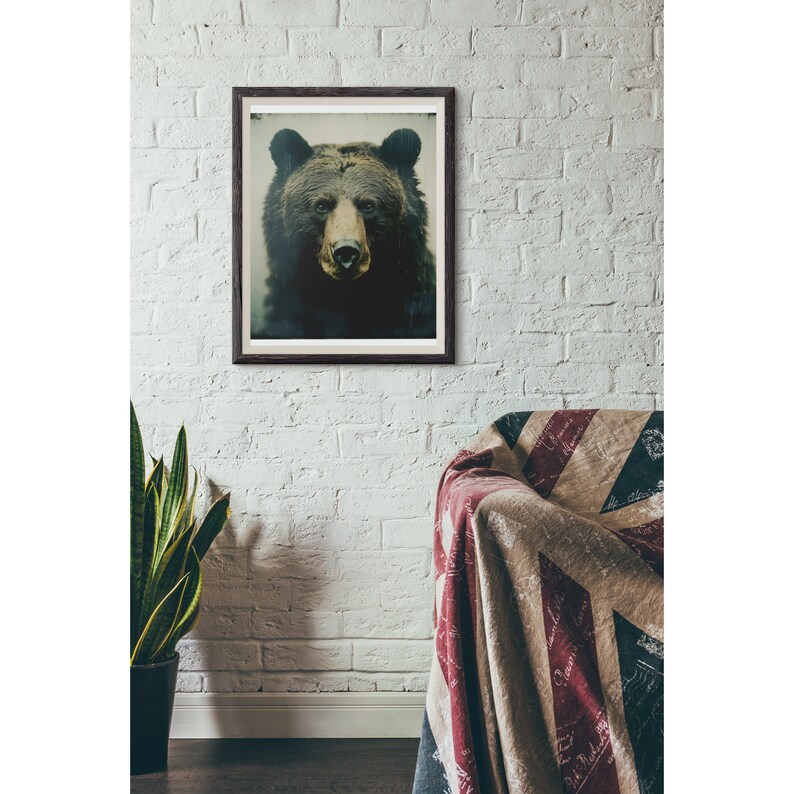 Bear Polaroid Portrait, Old Fashion Photography, Vintage, Retro Style ...