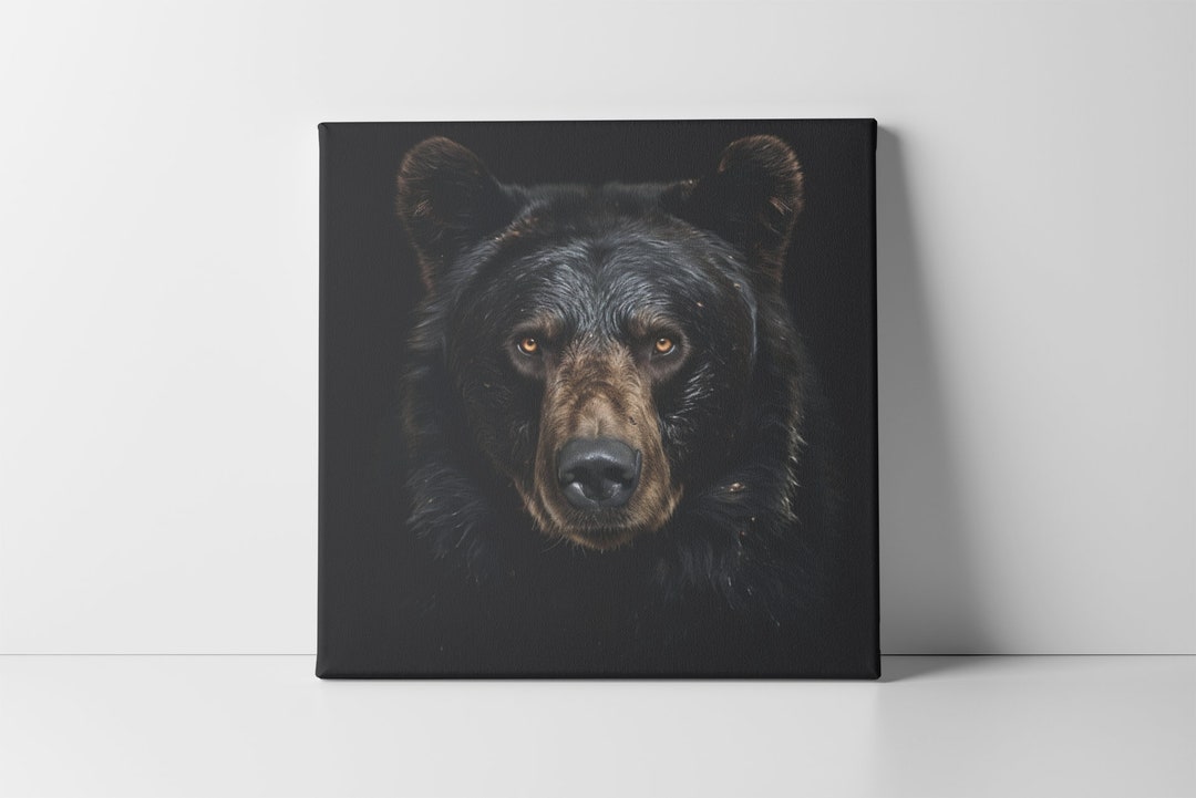 Black Bear Portrait, Award-winning Photograph, Art Poster Print, Home ...