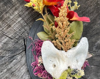 Real Animal Skull Hanging Decor Home Decor Decoration Animal Decor ...