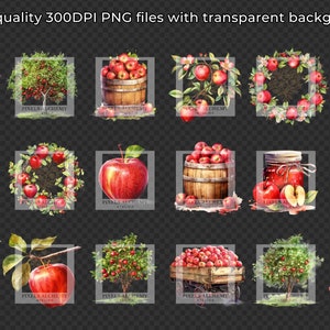 28 Watercolor Apple Bundles Clipart Transparent PNG FREE - Etsy