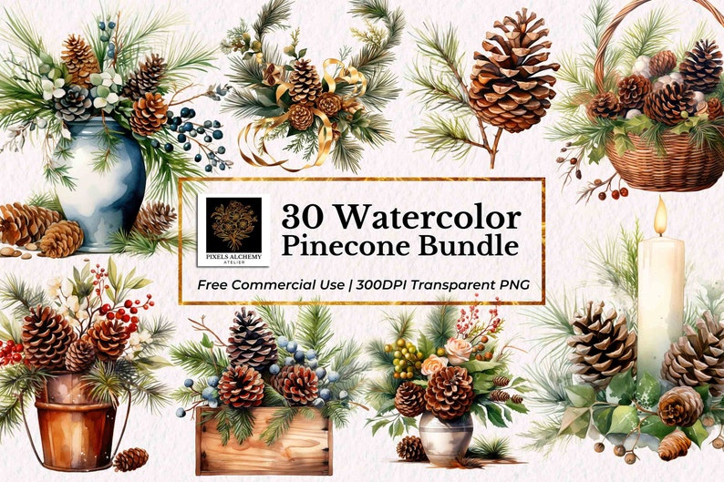 30 Pinecone Bundles Watercolor Clipart, Transparent PNG, FREE ...