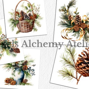 30 Pinecone Bundles Watercolor Clipart, Transparent PNG, FREE ...