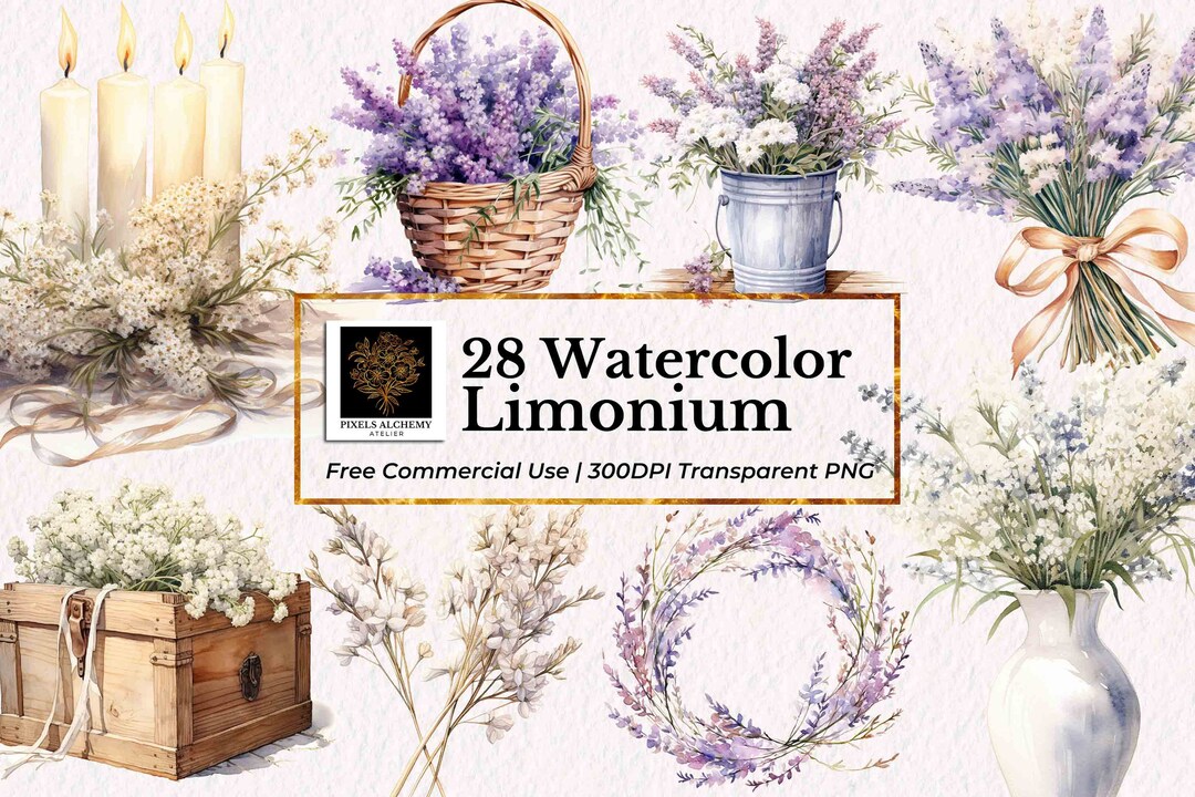 28 Natural Limonium Watercolor Clipart, Transparent PNG, FREE ...