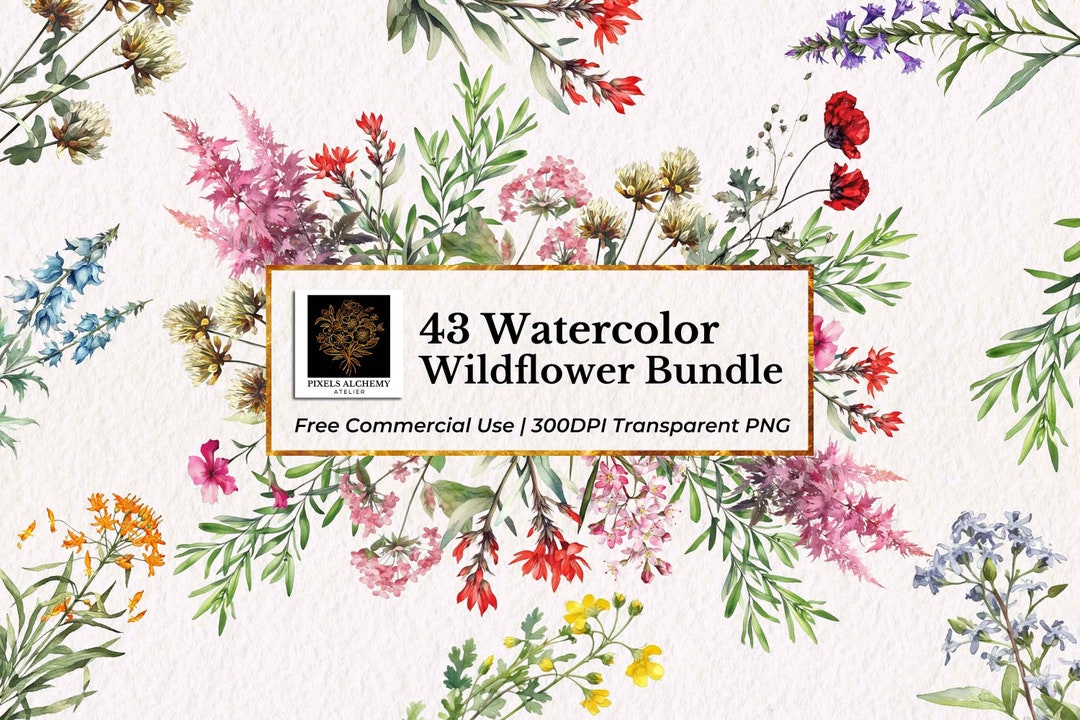 43 Watercolor Wildflower Clipart Set, Wildflower Bundle, Transparent ...