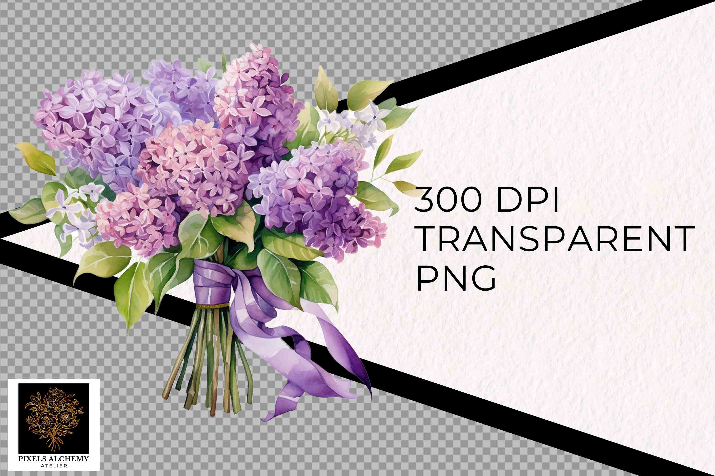 15 Lilac Bundle Watercolor Clipart Transparent PNG Free - Etsy