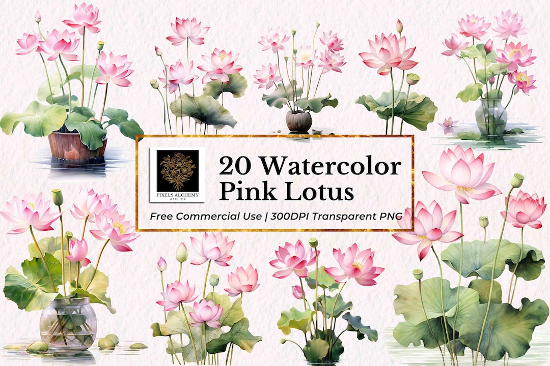 20 Pink Lotus Flowers Watercolor Clipart, PNG Transparent, Free ...