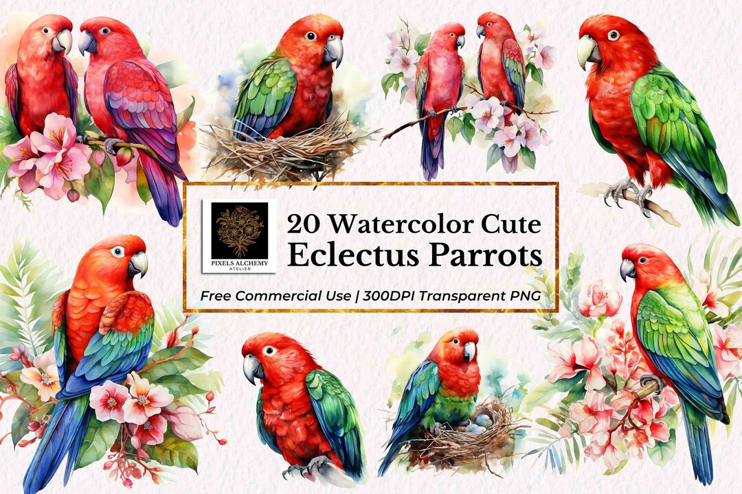 20 Cute Parrot Birds Watercolor Clipart Set, Pngs, FREE Commercial Use ...