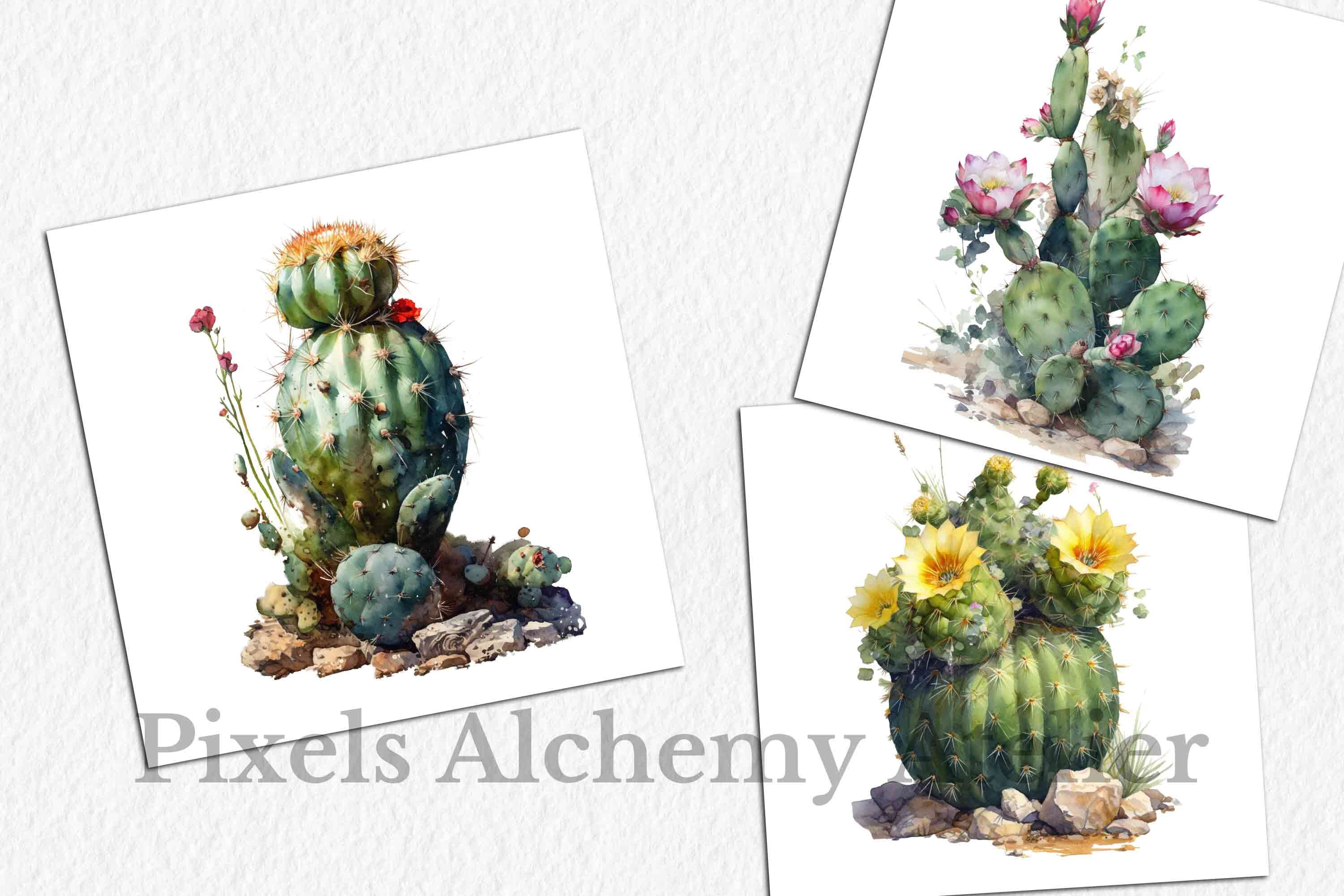 17 Cactus Bundle Clipart, Watercolor, Transparent PNG, Free Commercial ...