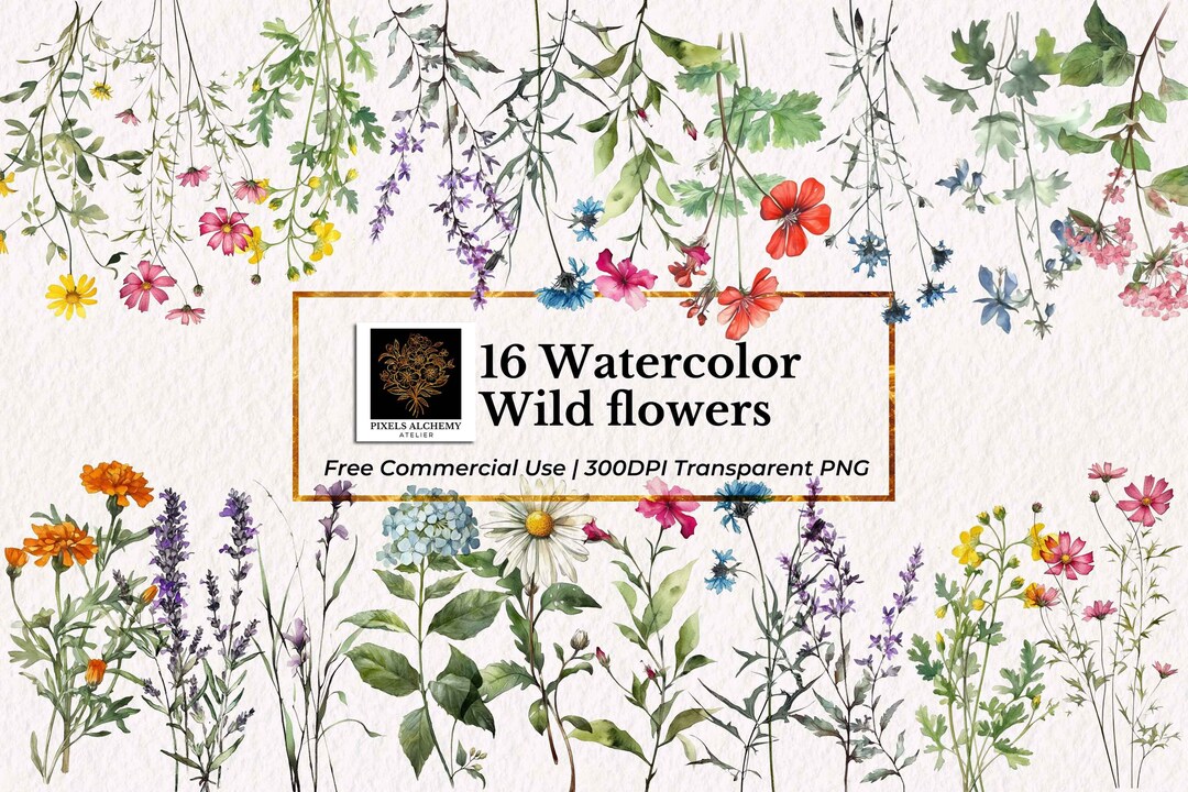 16 Wildflower DIY Elements Clipart, Transparent PNG for Commercial Use ...