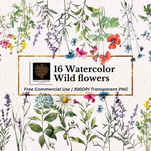 16 Wildflower DIY Elements Clipart, Transparent PNG for Commercial Use ...