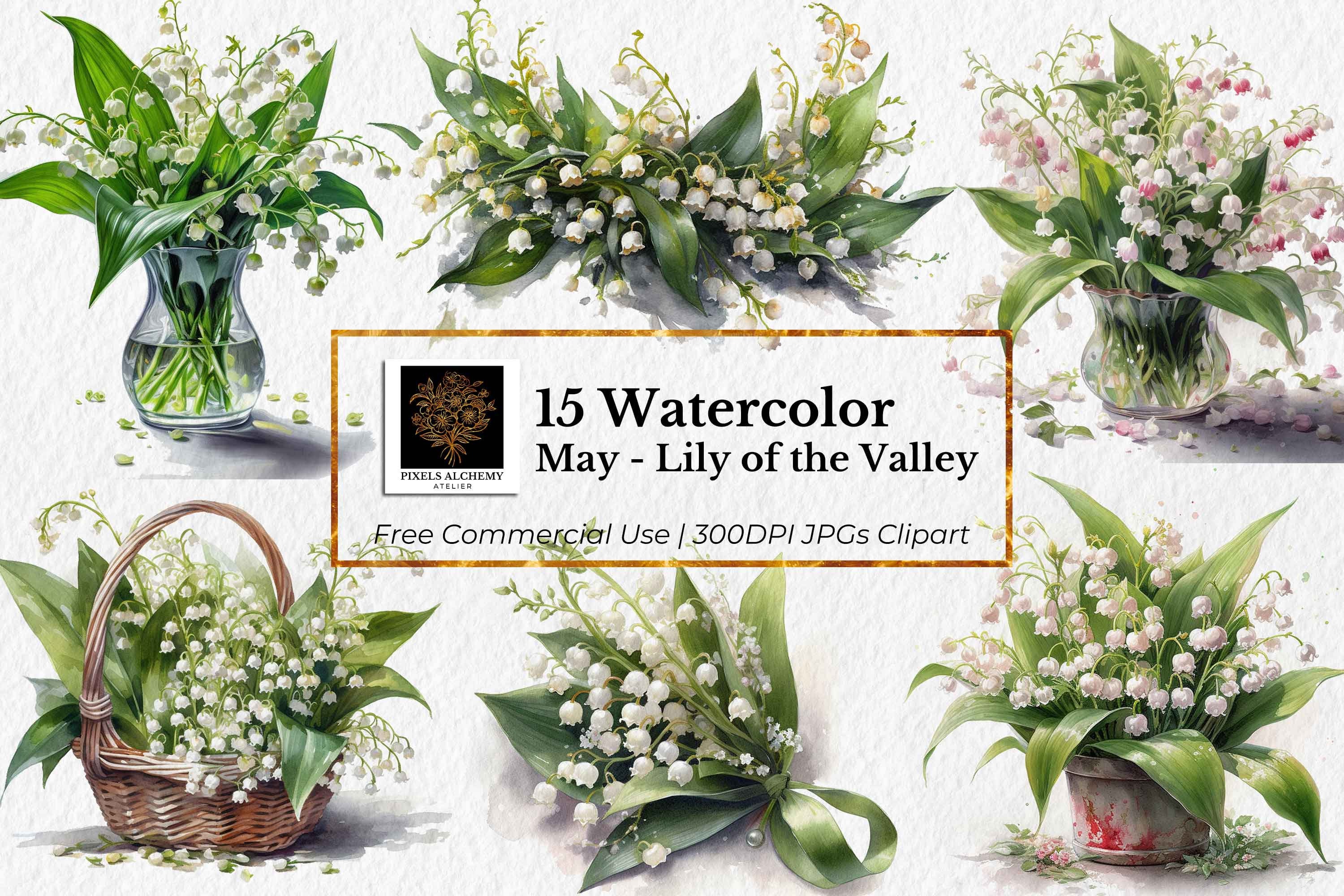 15 May - Lily of the Valley Birth Flower Jpgs, BONUS Transparent Pngs ...